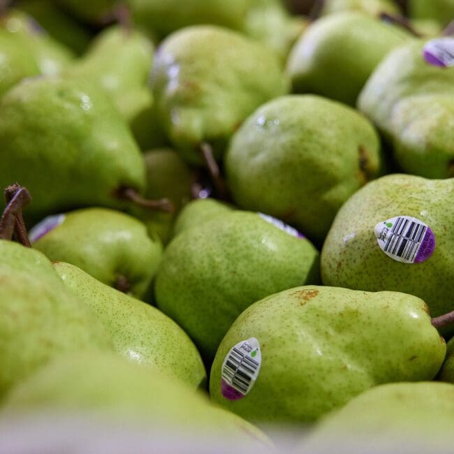 Full-Service Geelong Marketing Agency | Viewpoint Digital Media